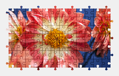 Dahlia Flower - Jigsaw Puzzles Online